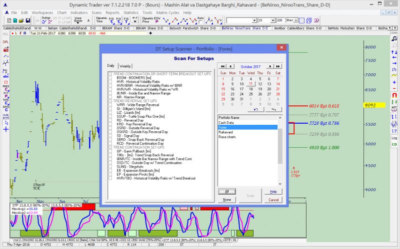 نرم افزار داینامیک تریدر | Dynamic Trader | ایران نئوویو